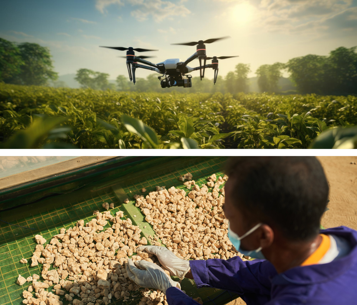 Prix Pierre Castel 2025 - Fonds Pierre Castel